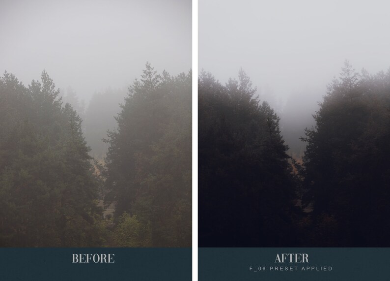 Foggage- Desktop&mobile Landscape Lightroom Preset Moody Editing ...