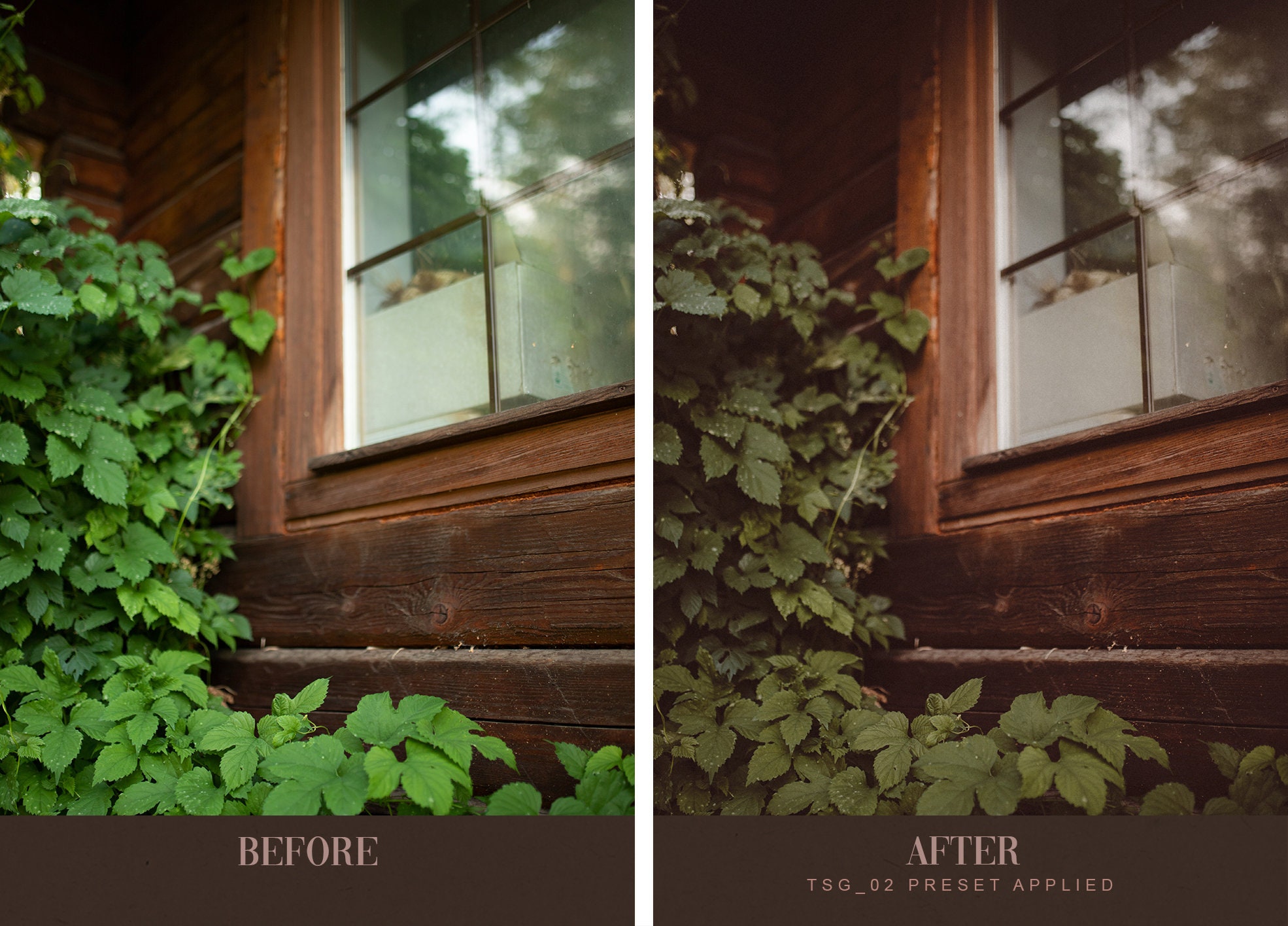 The Secret Garden- Colour Grading LUT Vintage Film Premiere Pro Final ...