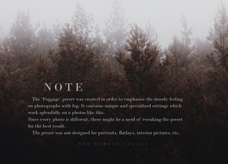 Foggage- Desktop&mobile Landscape Lightroom Preset Moody Editing ...