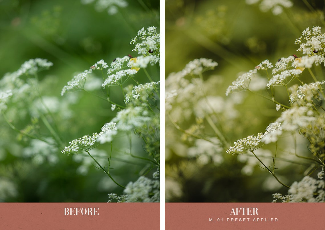 Mellow- Desktop&mobile Vintage Film Lightroom Preset Moody Editing ...