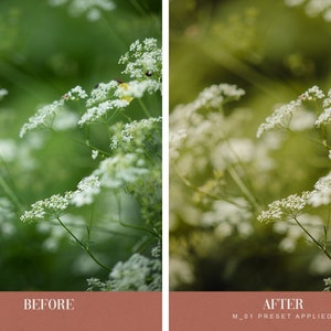 Mellow- Desktop&mobile Vintage Film Lightroom Preset Moody Editing ...
