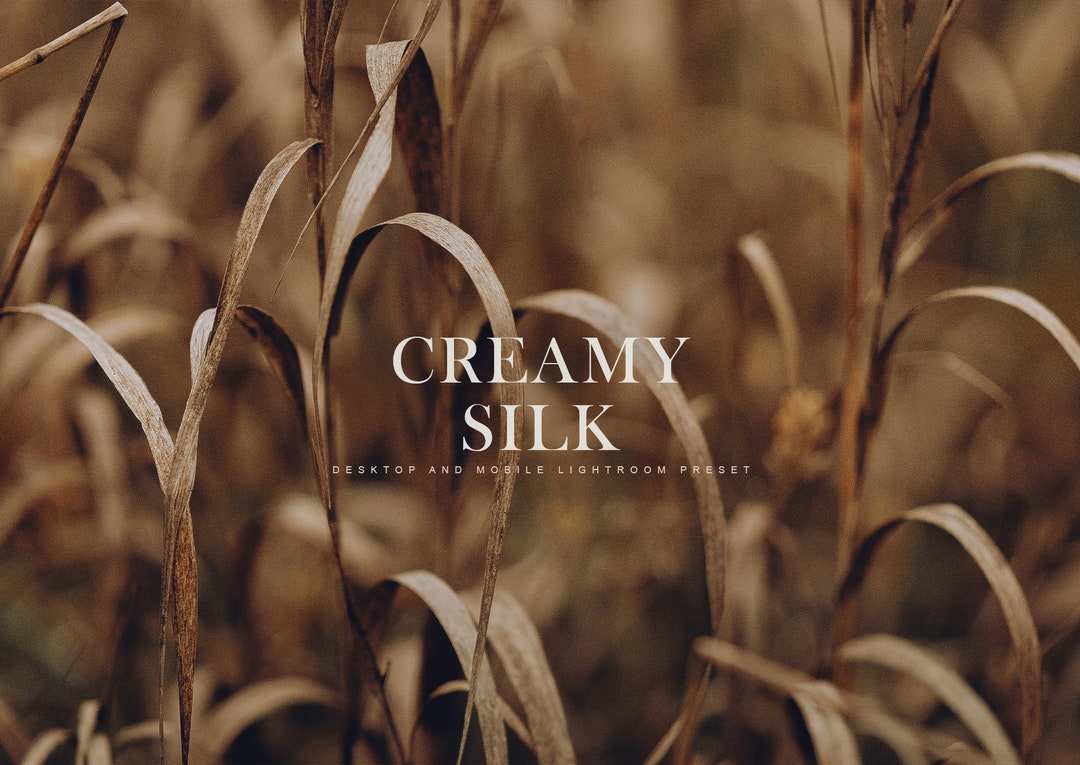 Creamy Silk- Desktop&mobile Vintage Film Lightroom Preset Moody Editing ...