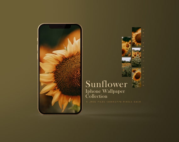 Sunflower background iphone store