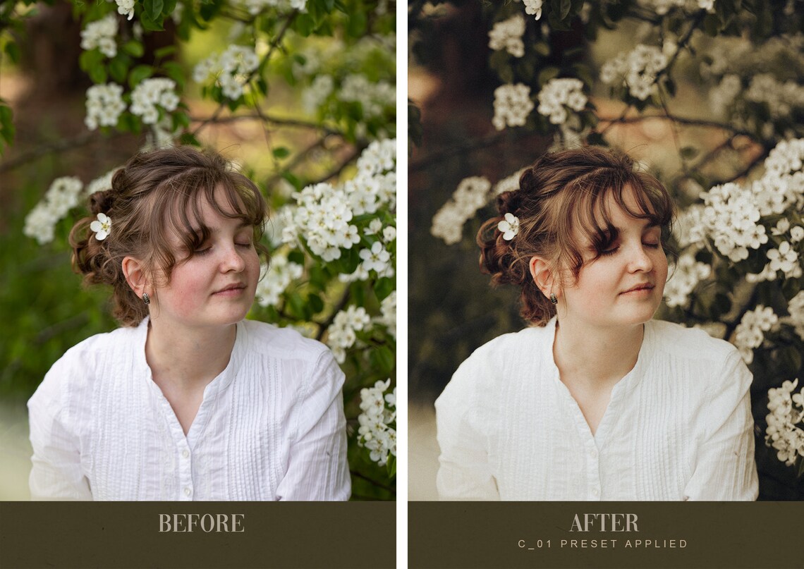 Cordelia- Colour Grading LUT Vintage Film Premiere Pro Final Cut Moody ...