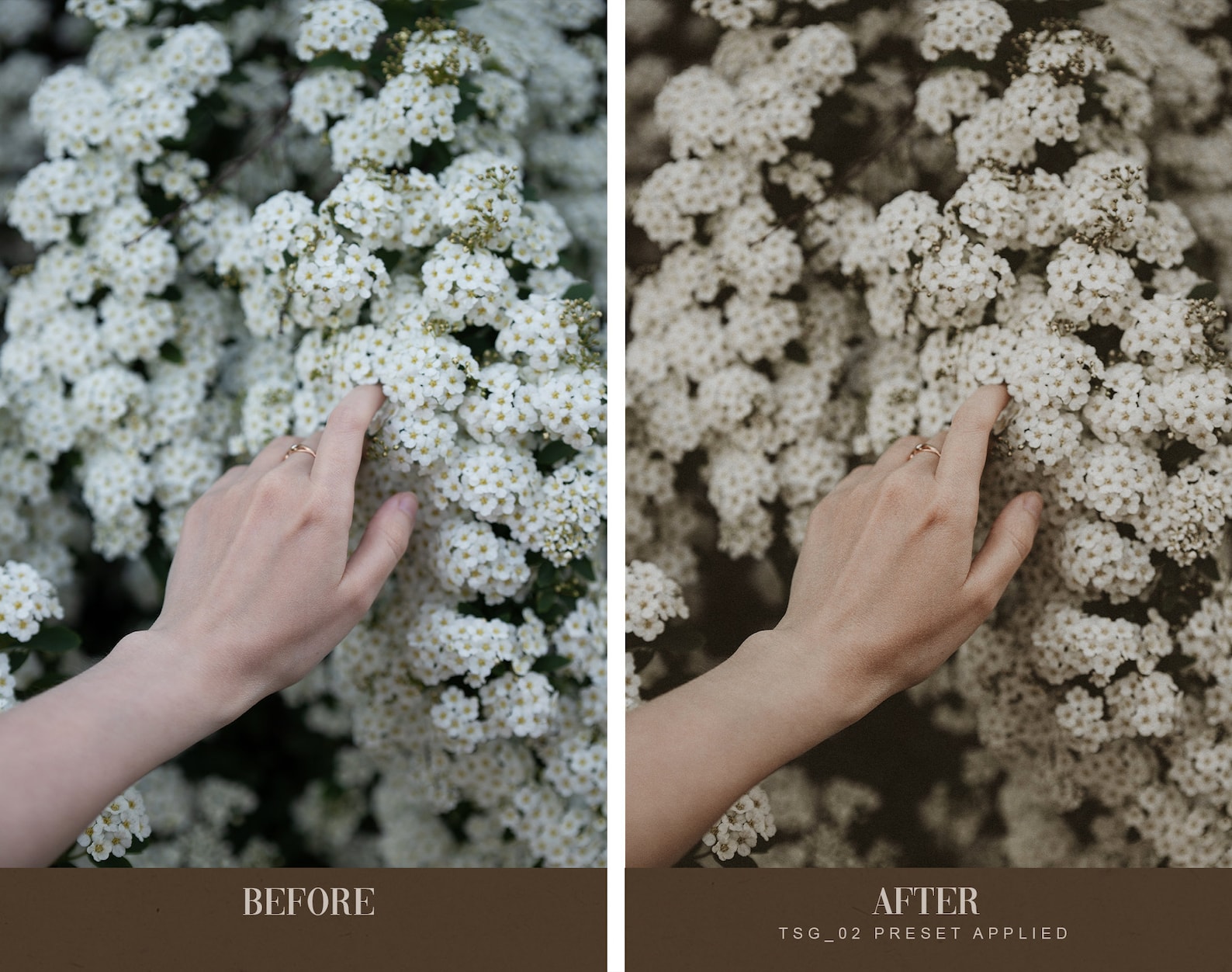 The Story Girl- Colour Grading LUT Vintage Film Premiere Pro Final Cut ...