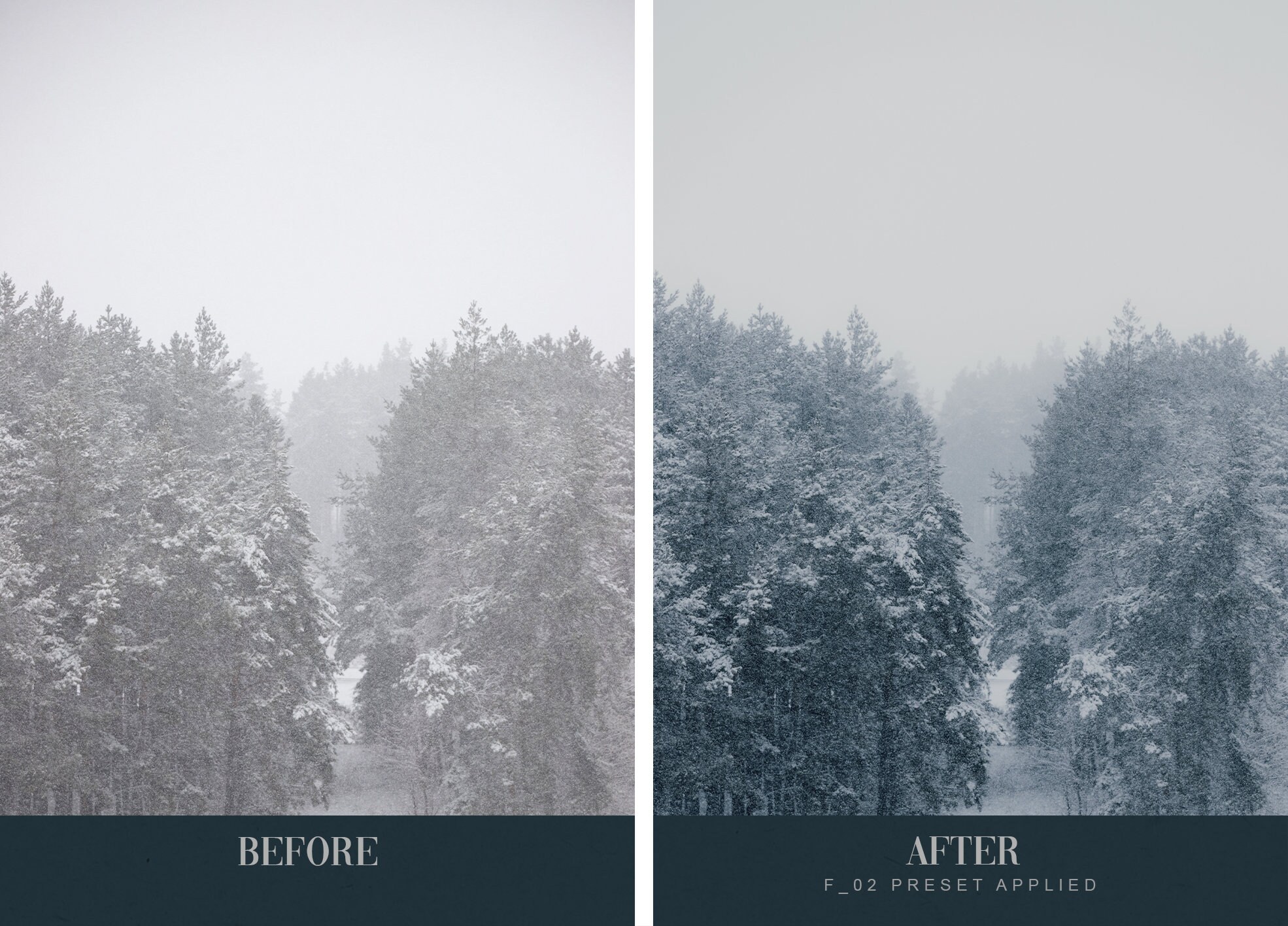 Foggage- Desktop&mobile Landscape Lightroom Preset Moody Editing ...