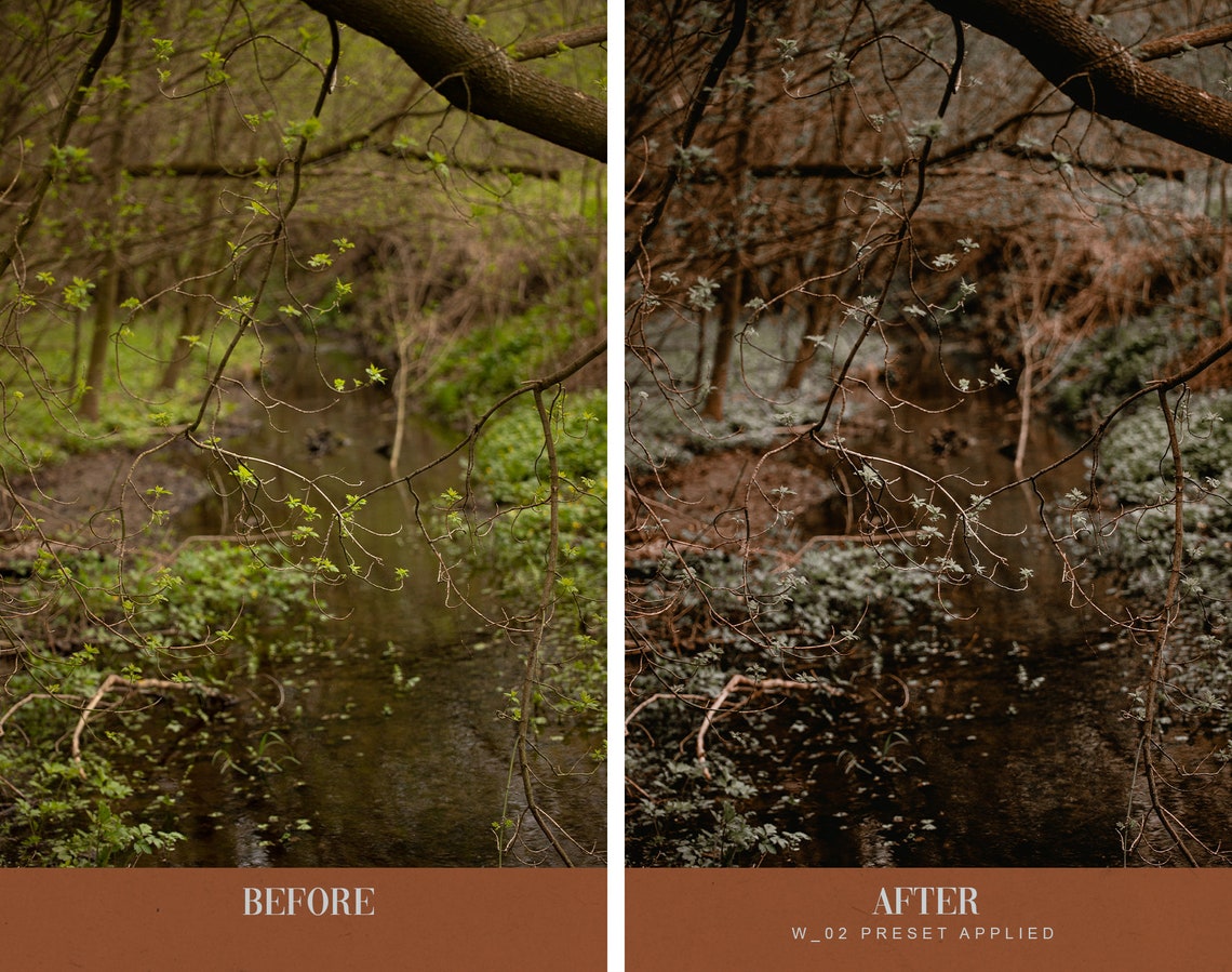 Waterfall- Colour Grading LUT Vintage Film Premiere Pro Final Cut Moody ...