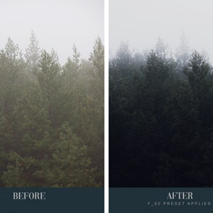 Foggage- Desktop&mobile Landscape Lightroom Preset Moody Editing ...