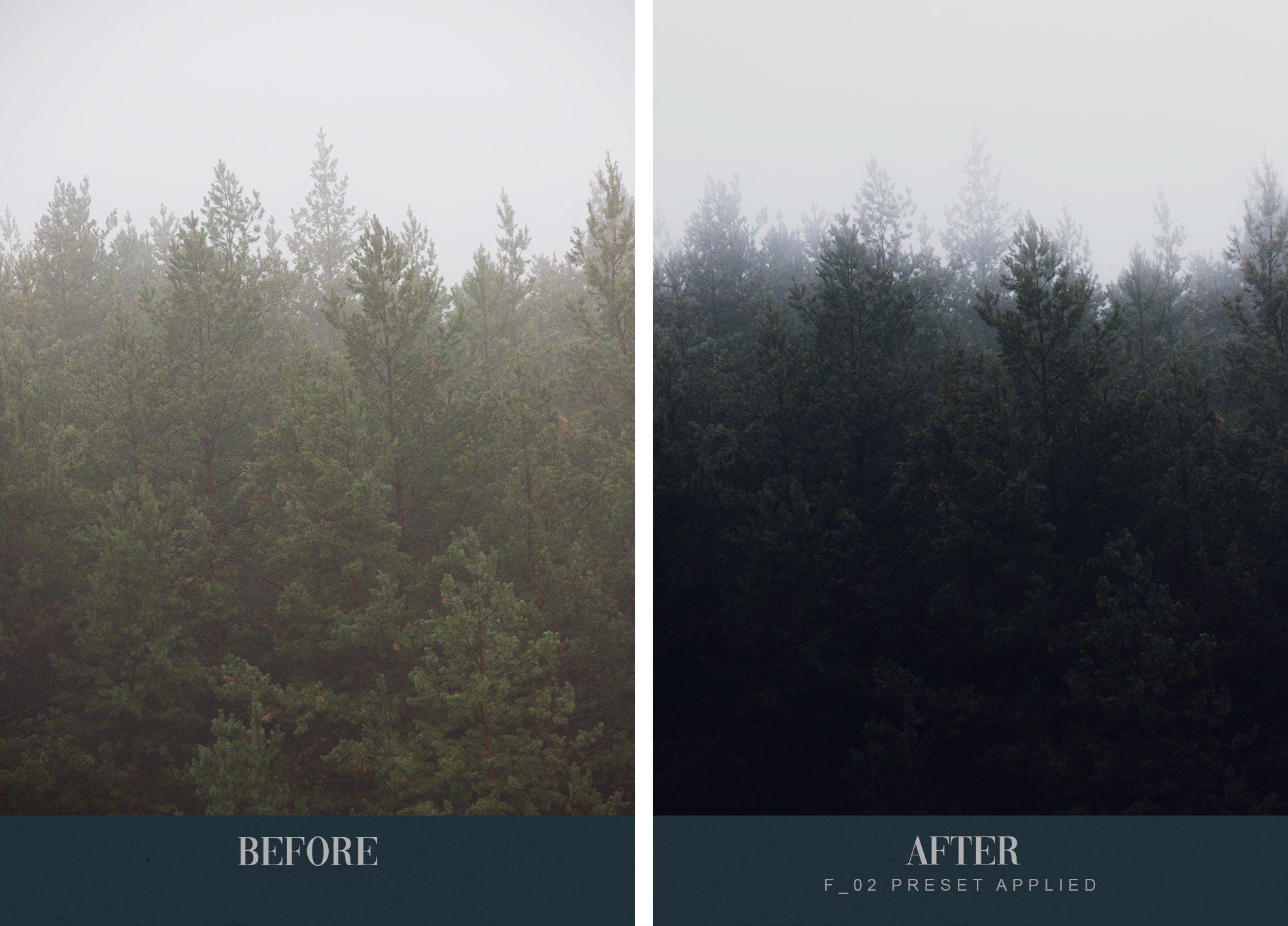 Foggage- Desktop&mobile Landscape Lightroom Preset Moody Editing ...
