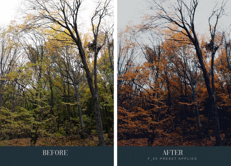 Foggage- Desktop&mobile Landscape Lightroom Preset Moody Editing ...