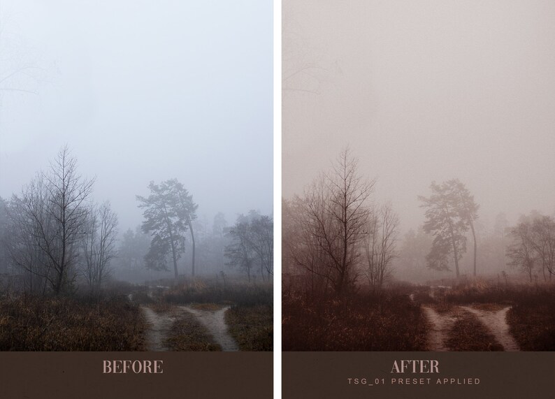 The Secret Garden- Colour Grading LUT Vintage Film Premiere Pro Final ...