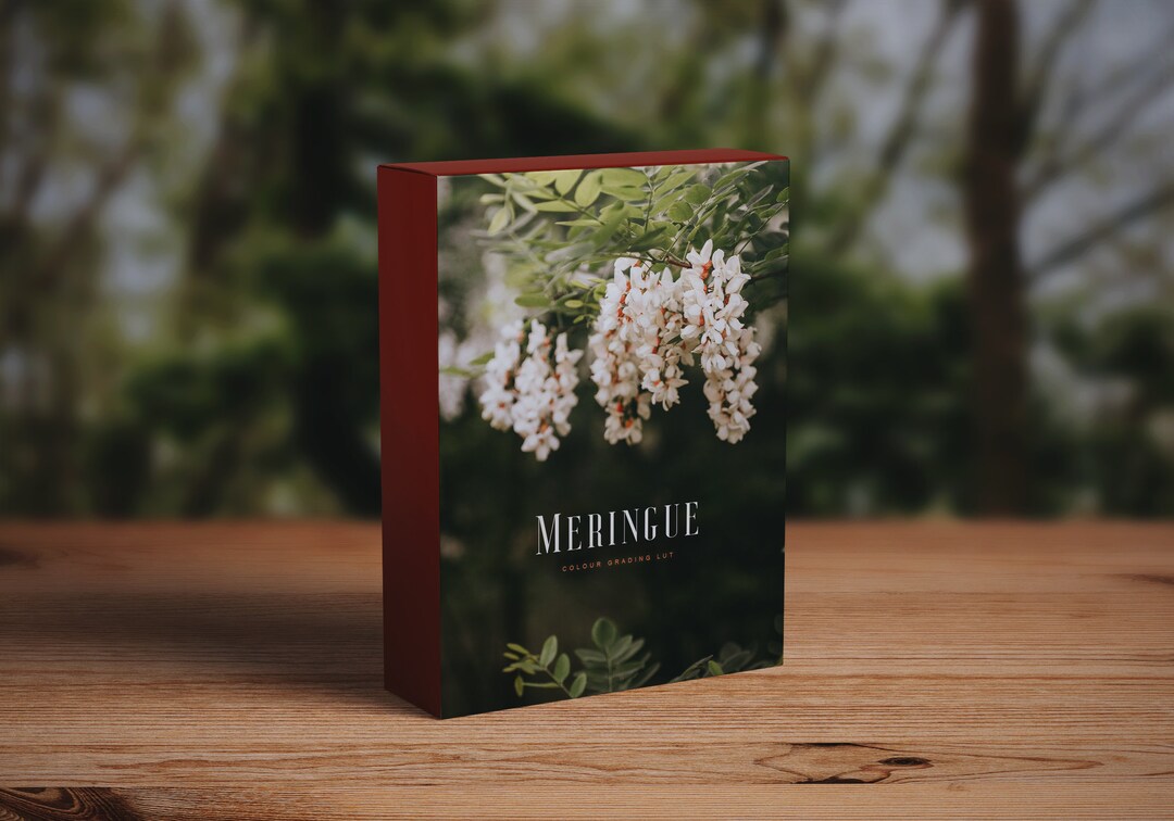 Meringue- Colour Grading LUT Vintage Film Premiere Pro Final Cut Moody ...