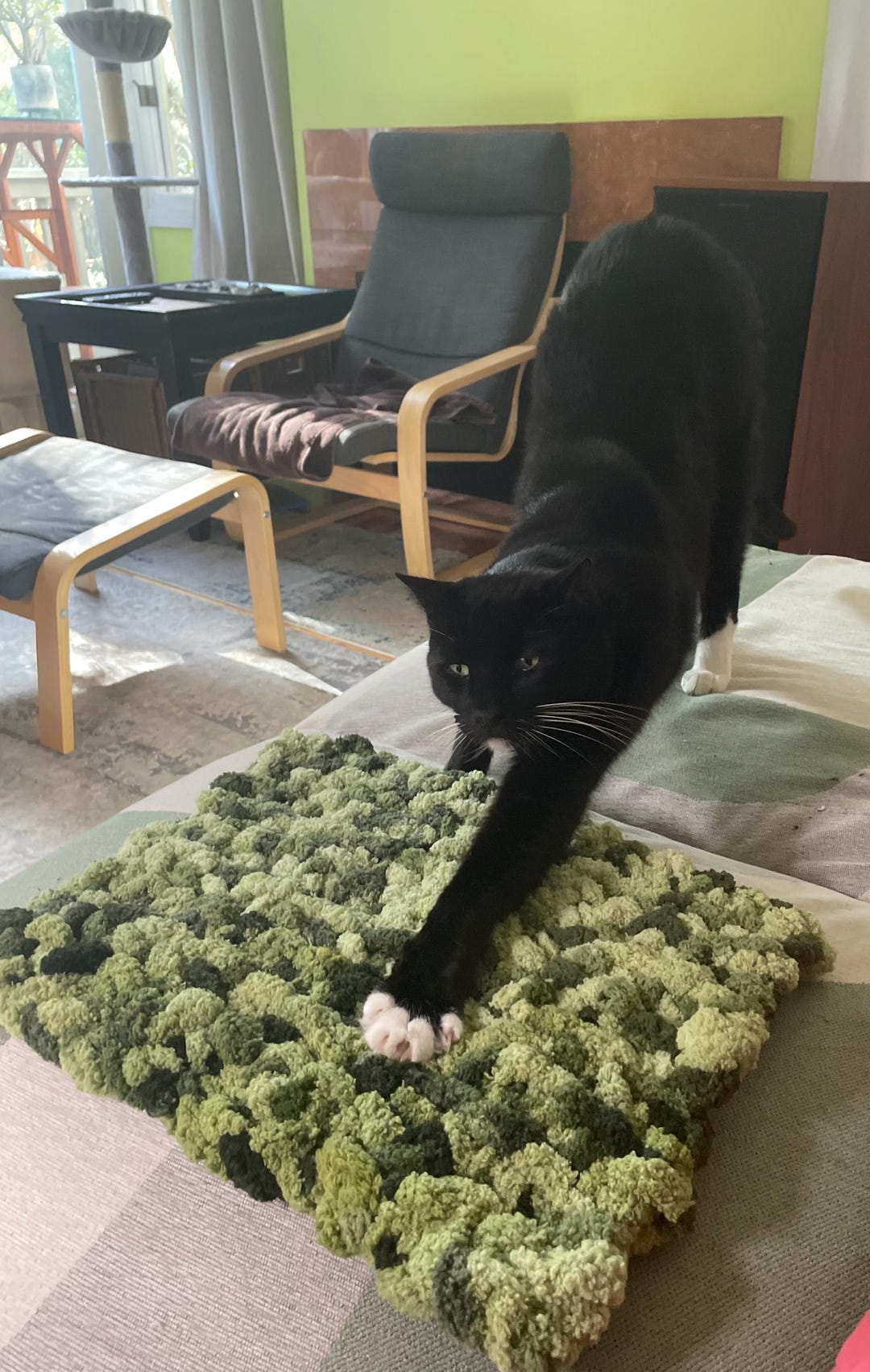 Super Plush Chenille Cat Mat - Crocheted Soft Warm Pet Mat - Multi ...