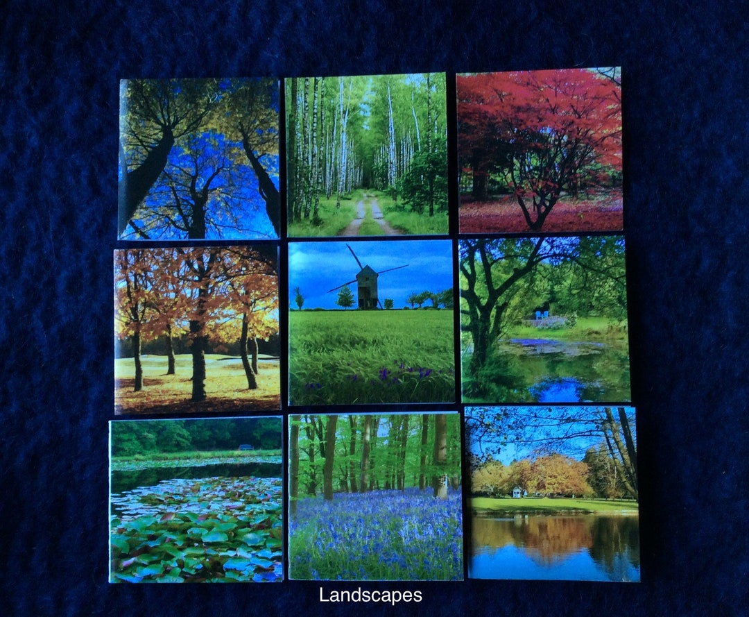 Nature Photo Cards 9 Cards 4x4inches Wildlife Landscape - Etsy
