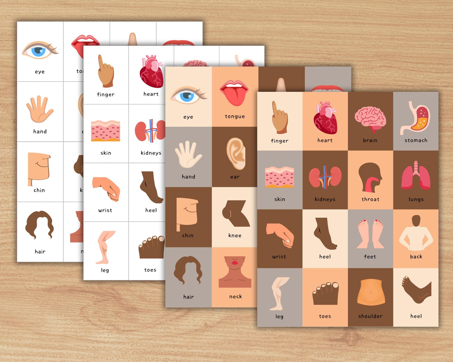 Body Parts Flash Cards, 32 Body Vocabulary Cards, Parts of the Body ...