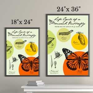 Butterfly Life Cycle Poster: Monarch Butterfly Printable Art, Biology ...