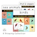 500 Vocabulary Flashcards Cards by Topic for Games and Activities ESL ...