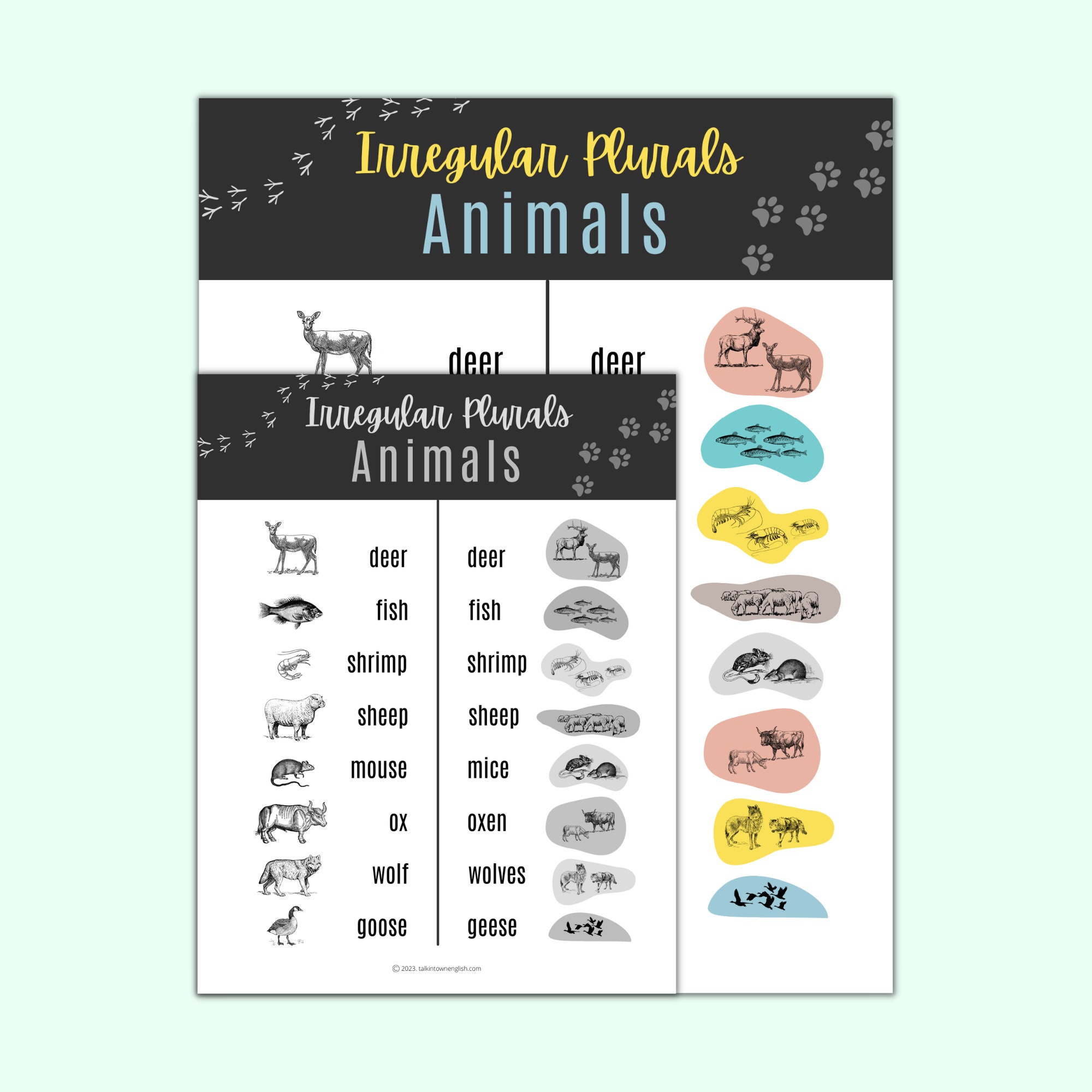 Irregular Plural Nouns Poster