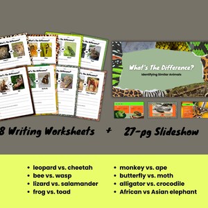 What's the Difference Between Similar Animals Presentation, Quiz, and ...