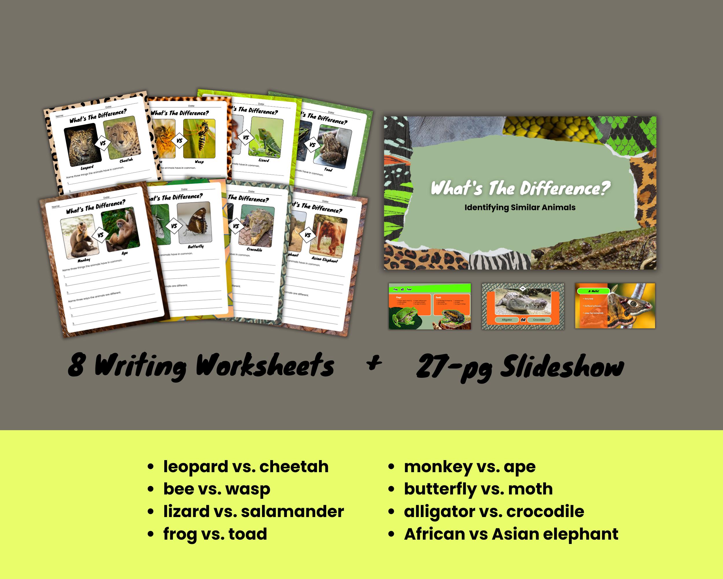 What's the Difference Between Similar Animals Presentation, Quiz, and ...