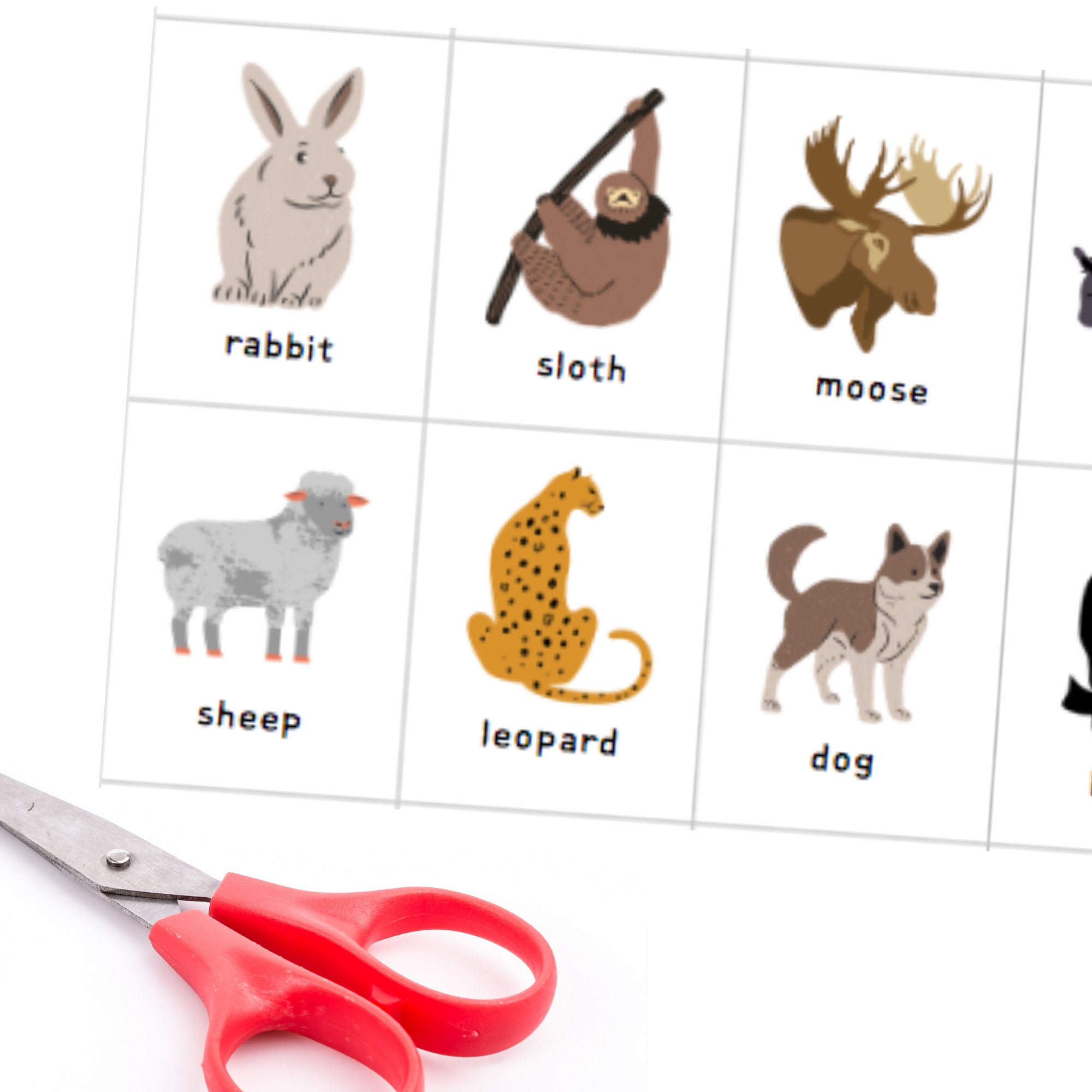 Printable Animal Flashcards PDF for ESL Games, Memory, Charades, and ...