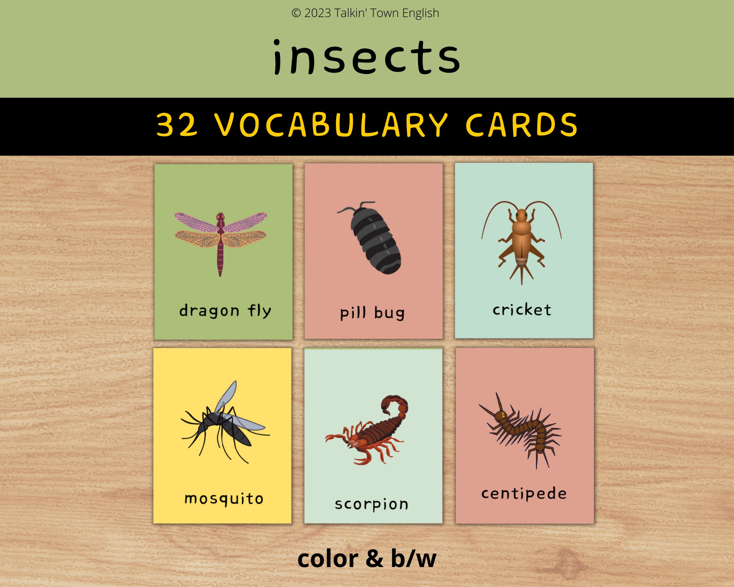 Insects and Bugs ESL Flashcards, Picture Cards for English/sped/ Ell ...