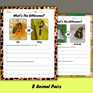 What's the Difference Between Similar Animals Presentation, Quiz, and ...