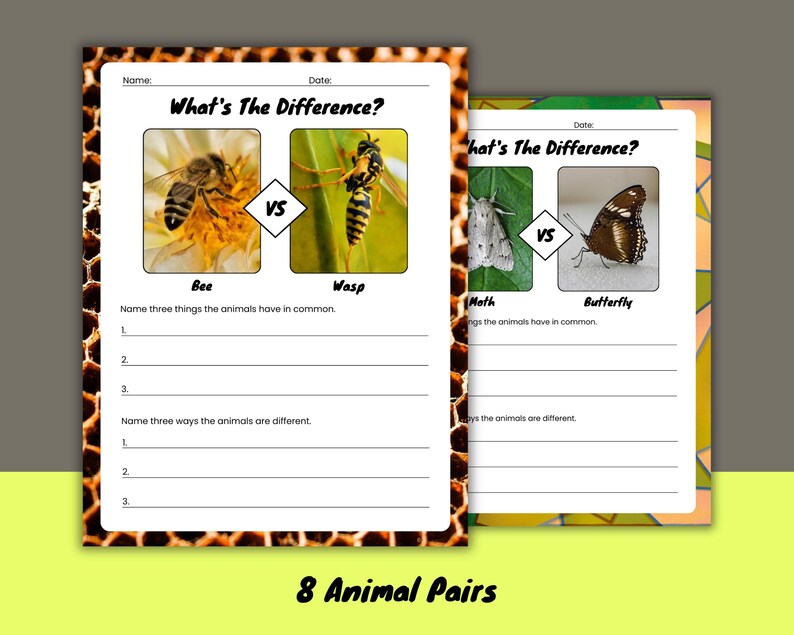 What's the Difference Between Similar Animals Presentation, Quiz, and ...