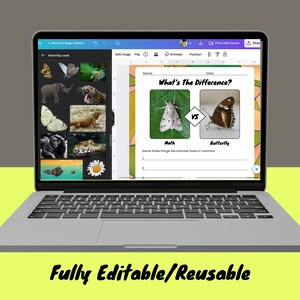 What's the Difference Between Similar Animals Presentation, Quiz, and ...