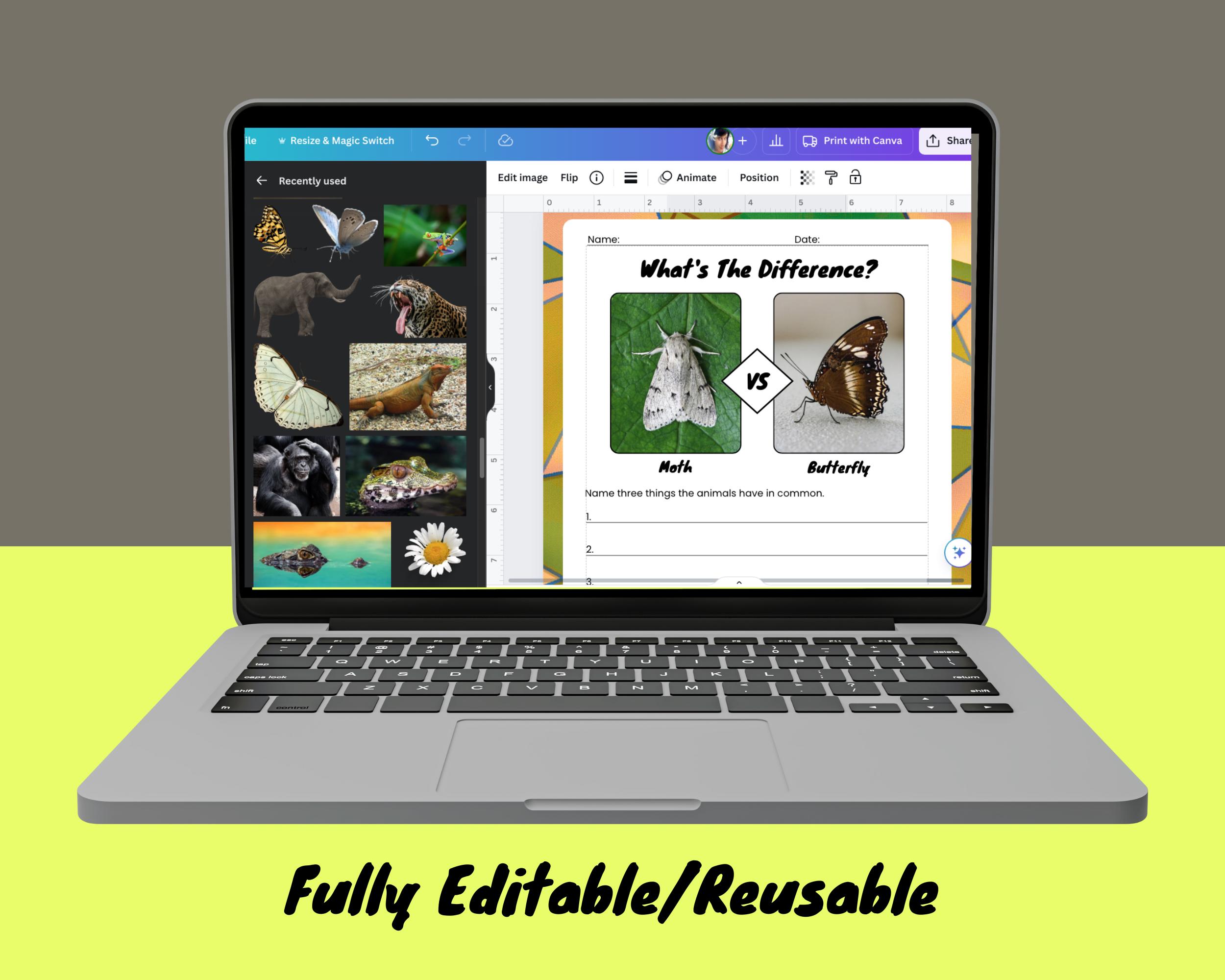 What's the Difference Between Similar Animals Presentation, Quiz, and ...