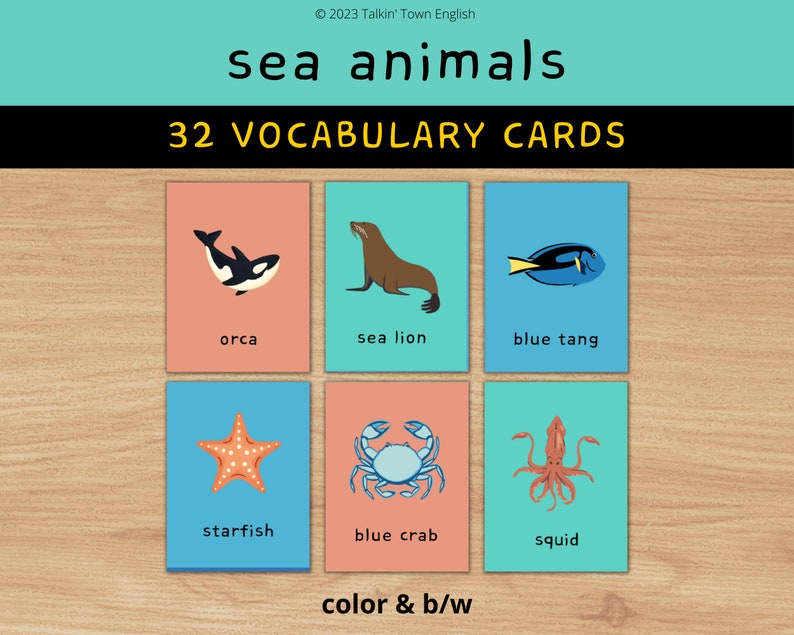 Printable Sea Animals Vocabulary Flashcards PDF, 32 Oceanography ...