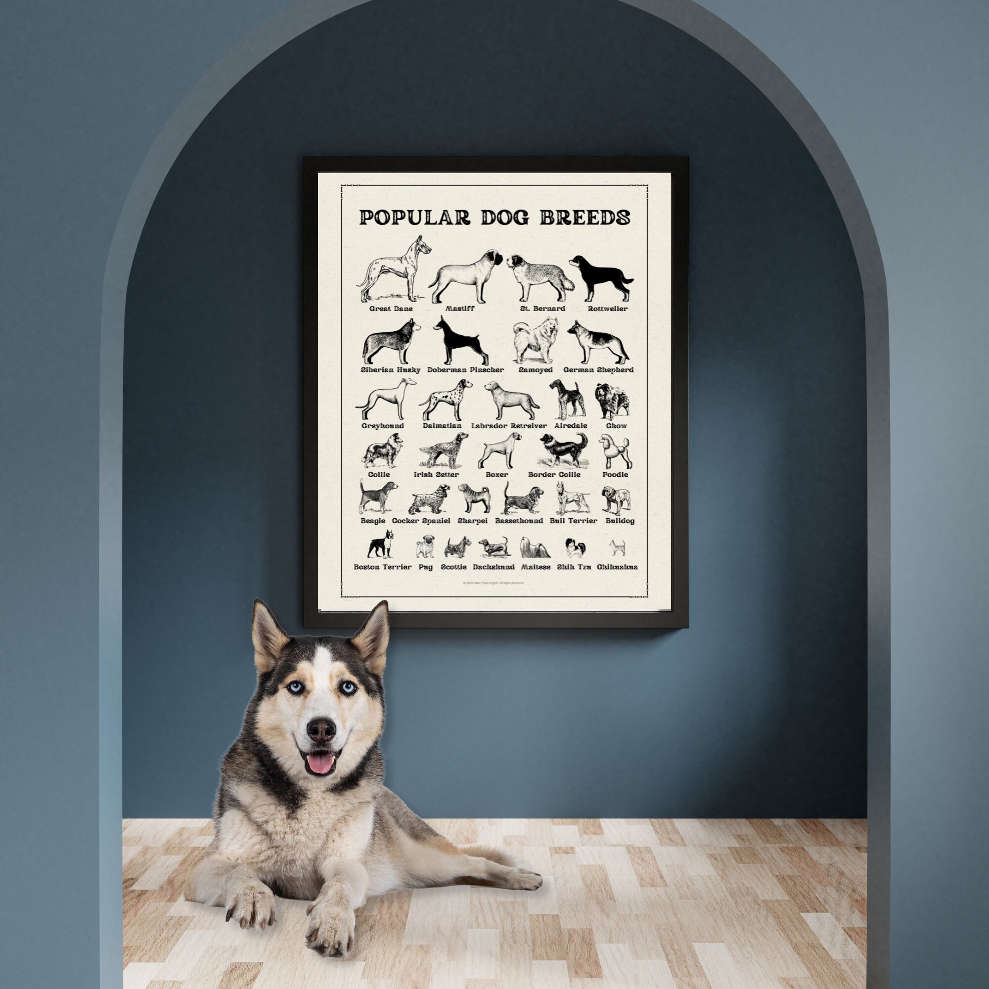 Popular Dog Breeds by Size Printable Poster Art, Hand-drawn Art, Pet ...