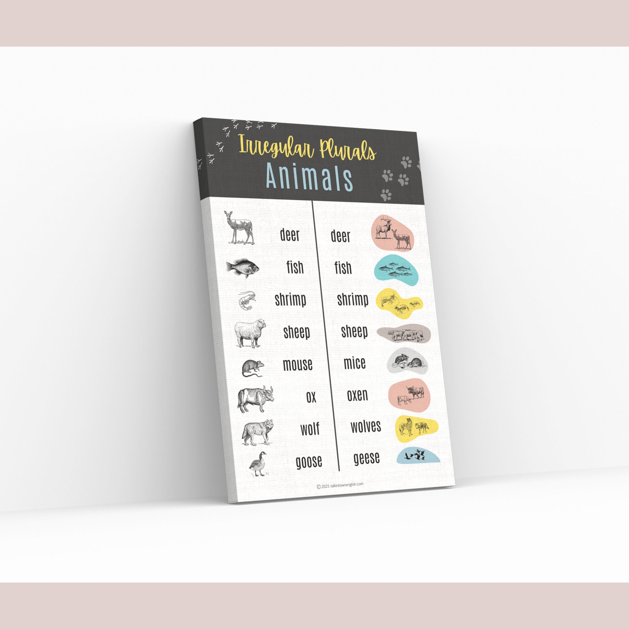 Vintage Grammar Charts of Irregular Plural Nouns for People and Animals ...