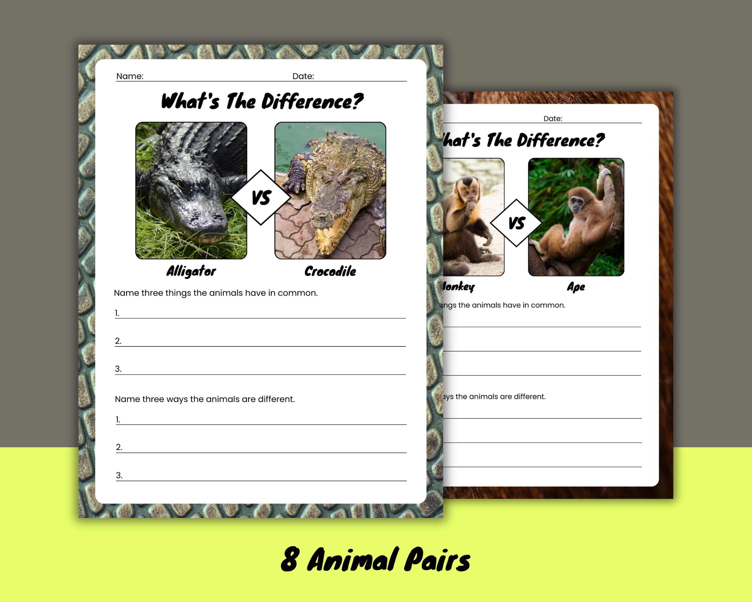What's the Difference Between Similar Animals Presentation, Quiz, and ...