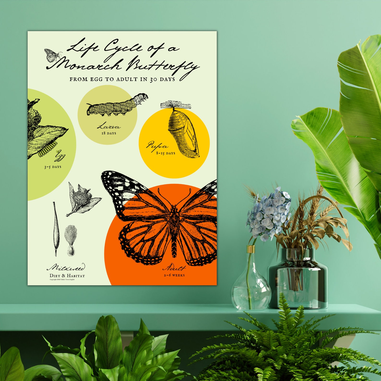 Butterfly Life Cycle Poster: Monarch Butterfly Printable Art, Biology ...