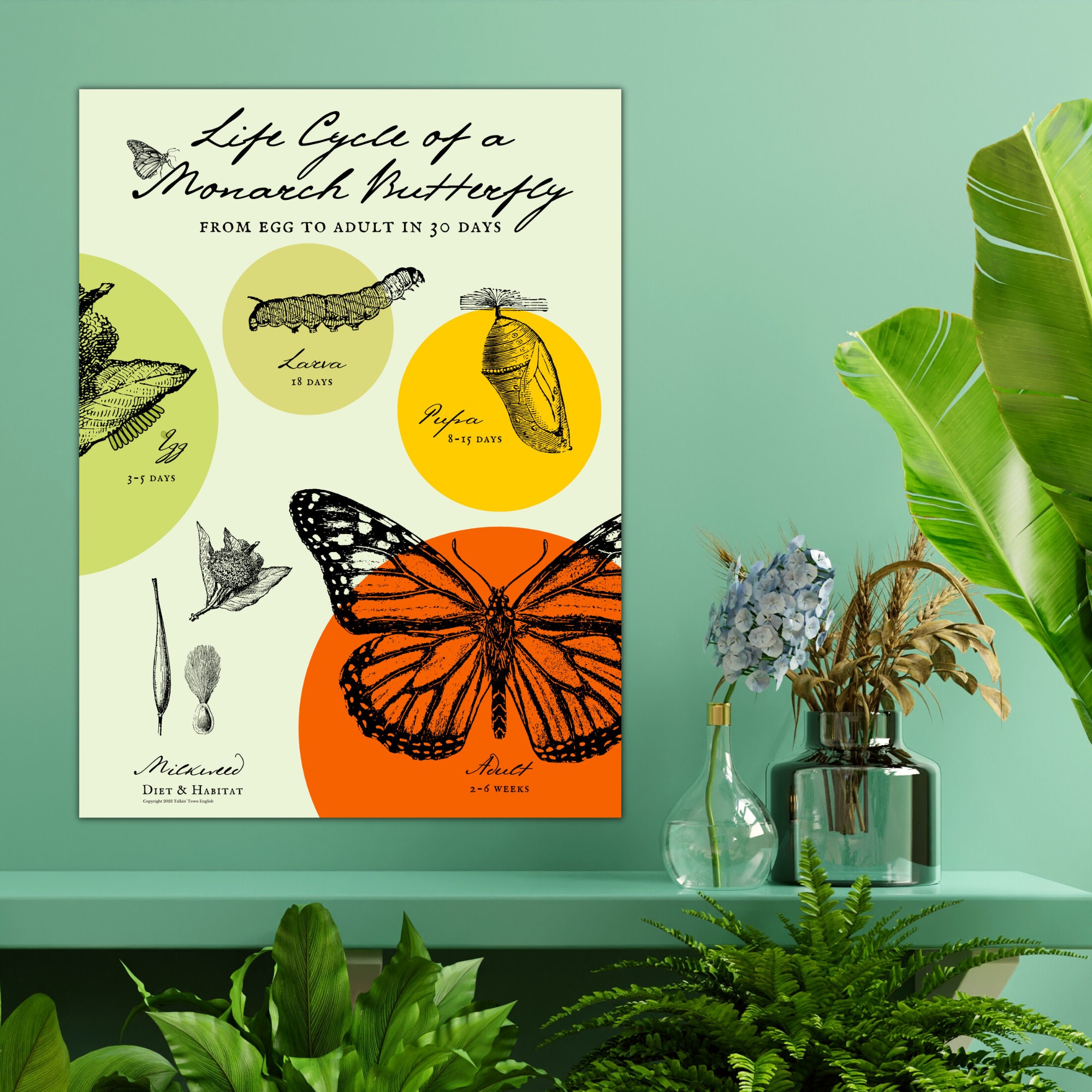 Butterfly Life Cycle Poster: Monarch Butterfly Printable Art, Biology ...