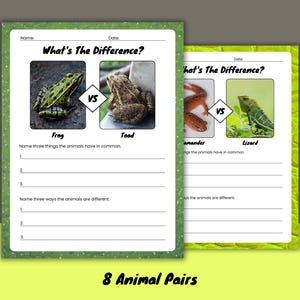 What's the Difference Between Similar Animals Presentation, Quiz, and ...