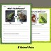 What's the Difference Between Similar Animals Presentation, Quiz, and ...