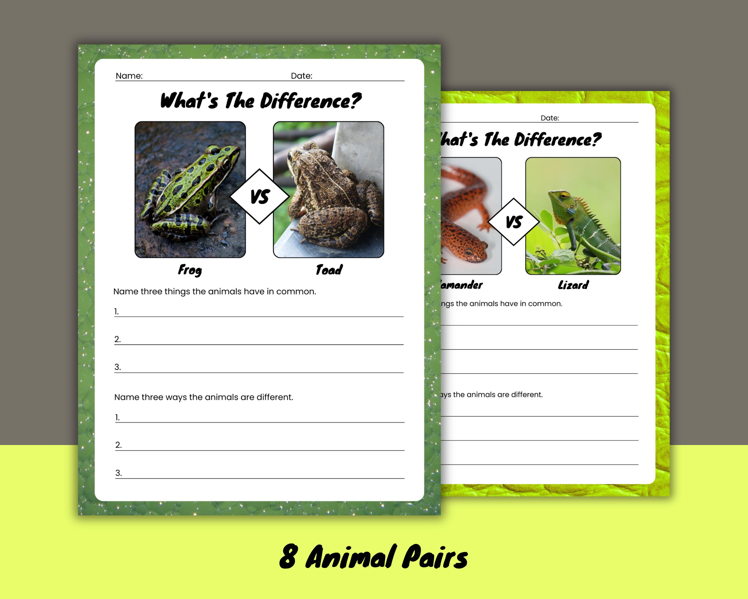 What's the Difference Between Similar Animals Presentation, Quiz, and ...