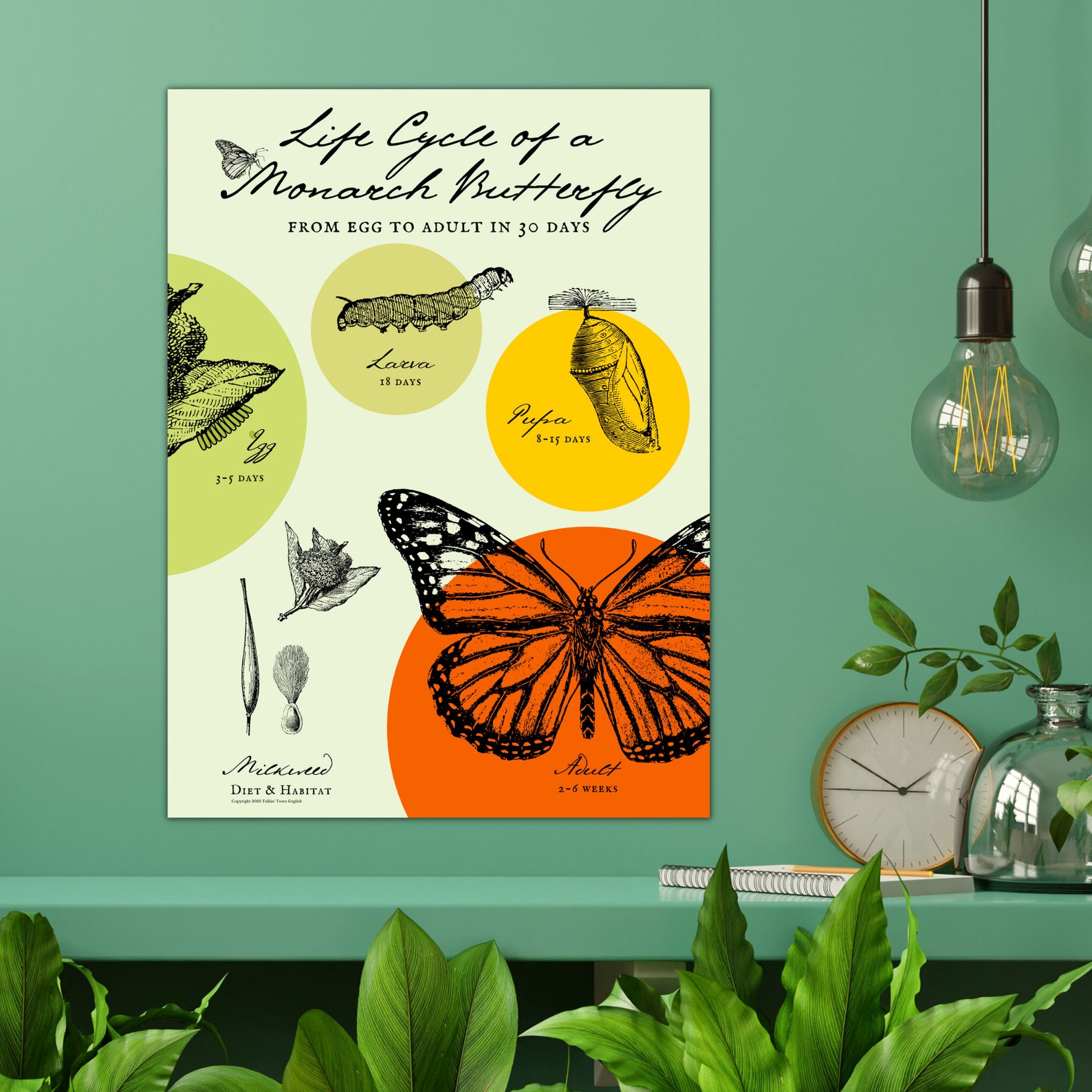 Butterfly Life Cycle Poster: Monarch Butterfly Printable Art, Biology ...