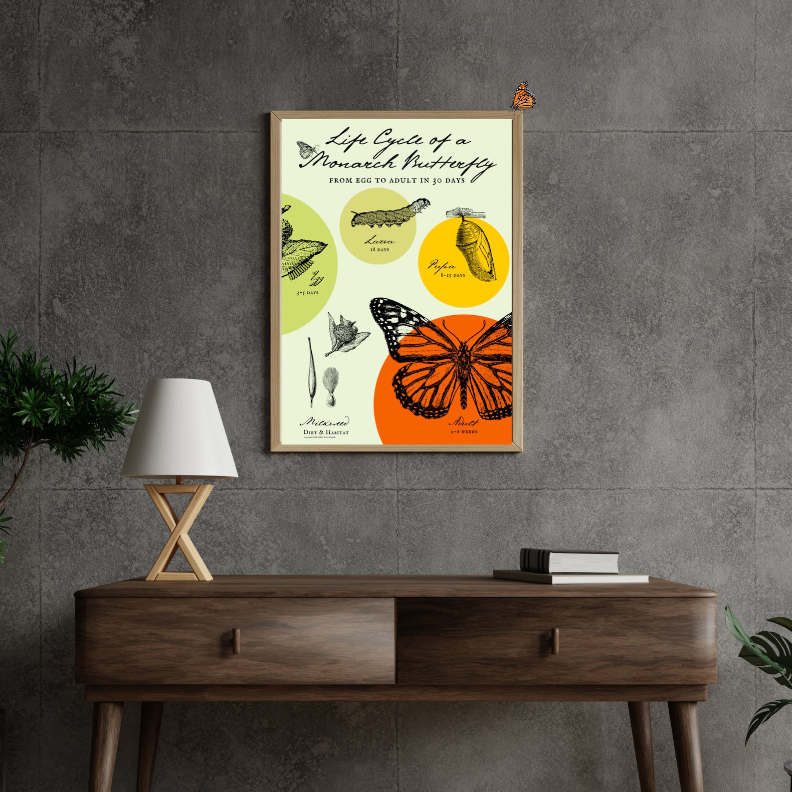 Butterfly Life Cycle Poster: Monarch Butterfly Printable Art, Biology ...