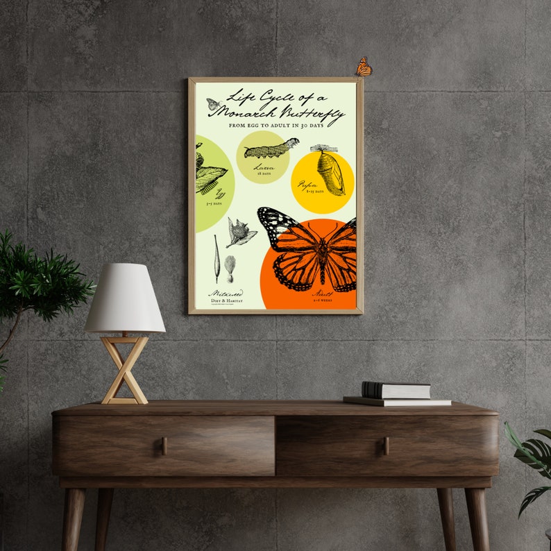 Butterfly Life Cycle Poster: Monarch Butterfly Printable Art, Biology ...