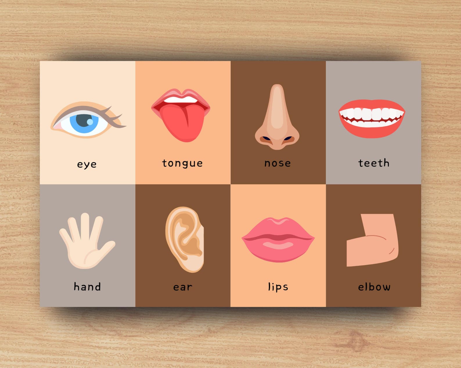 Body Parts Flash Cards, 32 Body Vocabulary Cards, Parts of the Body ...