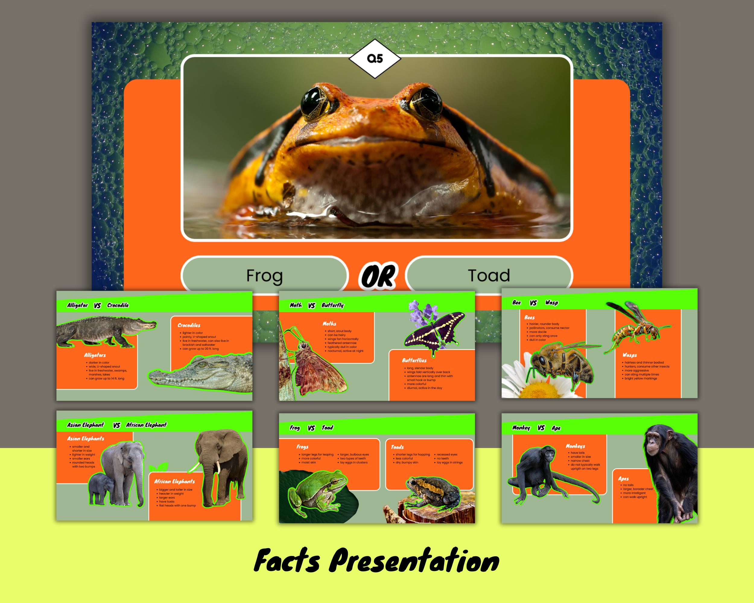 What's the Difference Between Similar Animals Presentation, Quiz, and ...
