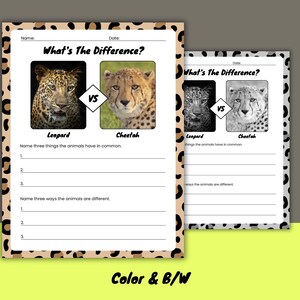 What's the Difference Between Similar Animals Presentation, Quiz, and ...