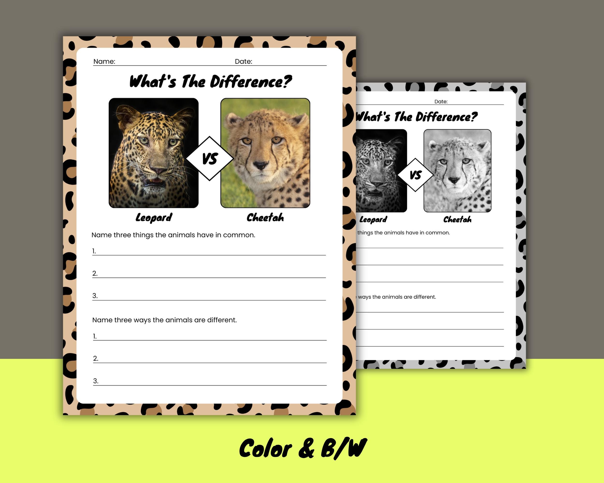 What's the Difference Between Similar Animals Presentation, Quiz, and ...