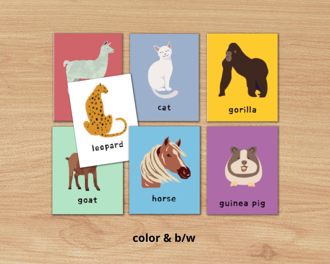 Printable Animal Flashcards PDF for ESL Games, Memory, Charades, and ...