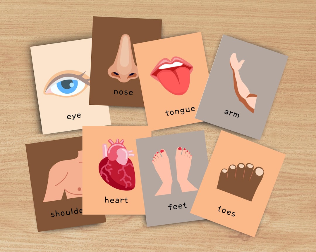 Body Parts Flash Cards, 32 Body Vocabulary Cards, Parts of the Body ...