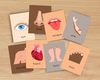Human Body Parts Vocabulary Pack | Games & Activities | ESL ELL ...