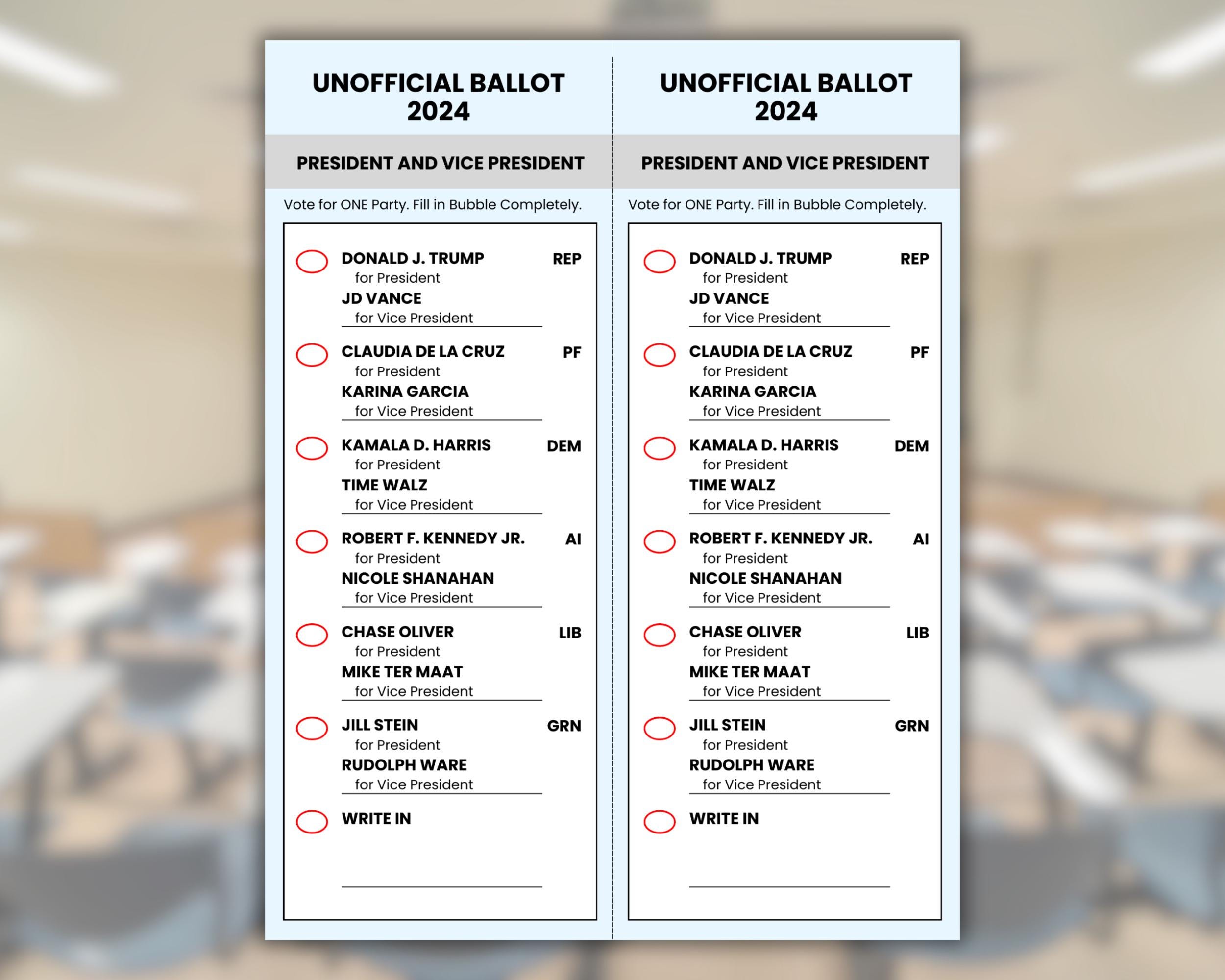 Election Ballot Slips PDF Template and Results for School Elections ...